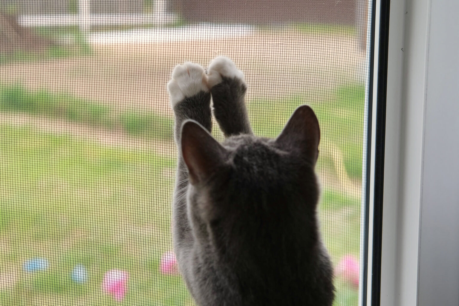 Pet Screen Solutions - Screenmobile