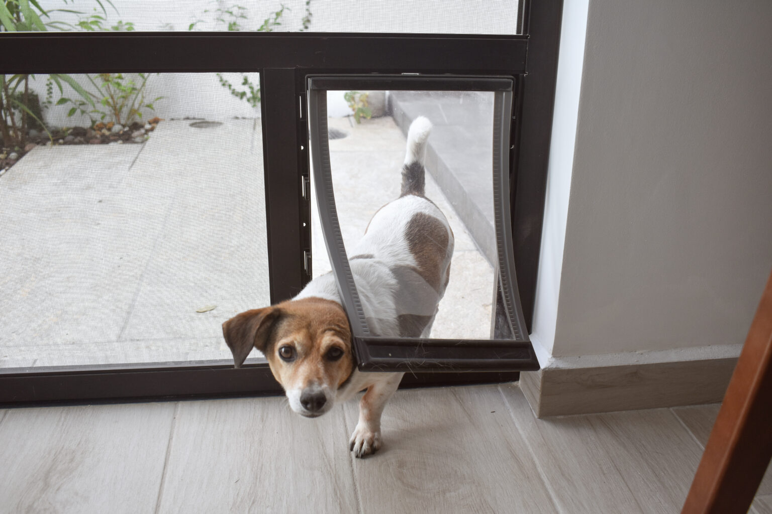 Pet Proof Screens & Accessories | Screenmobile